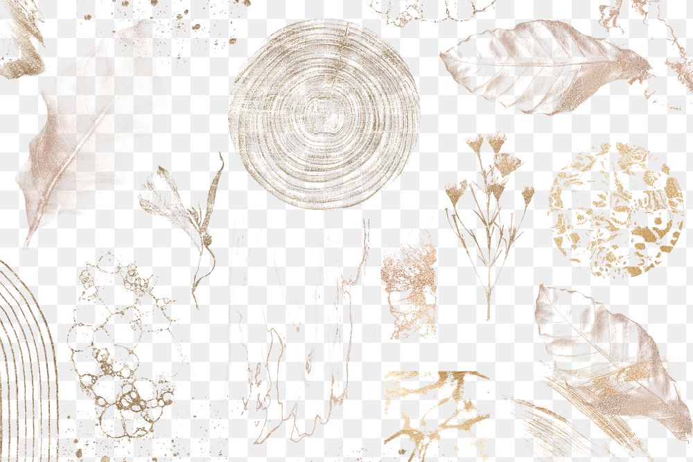 Dried botanical png sticker, gold | Premium PNG - rawpixel