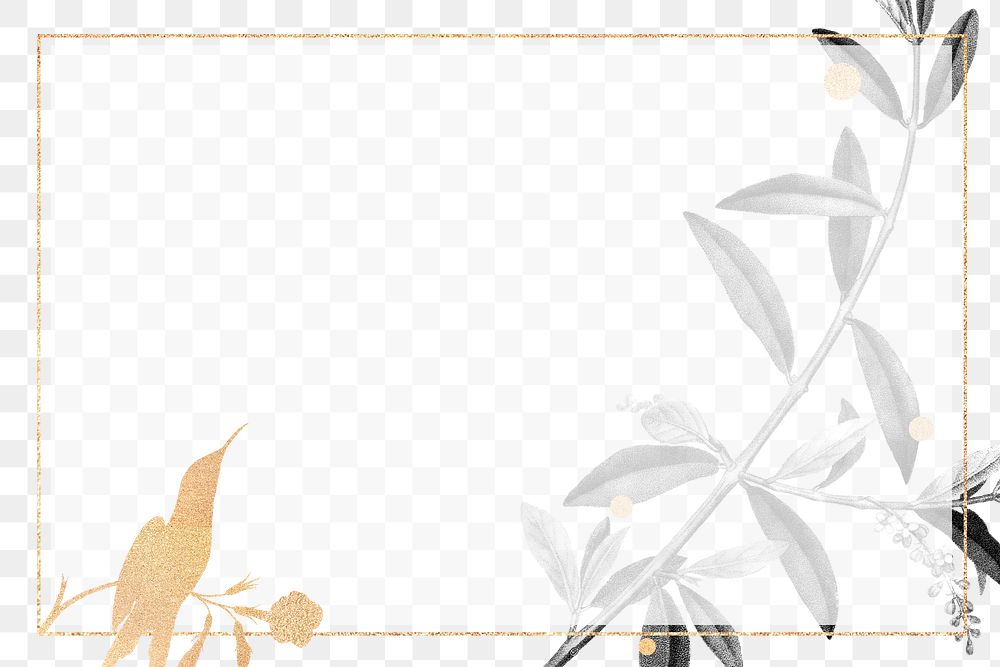 Hummingbird pattern frame png olive | Premium PNG - rawpixel