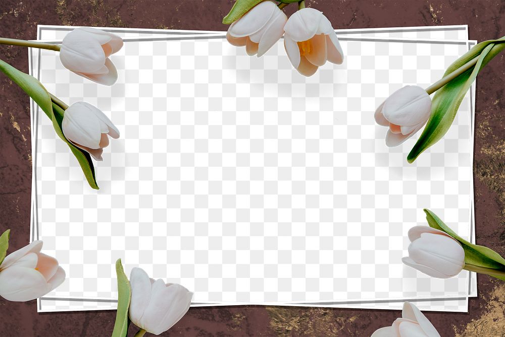 White tulip frame design element | Free PNG - rawpixel
