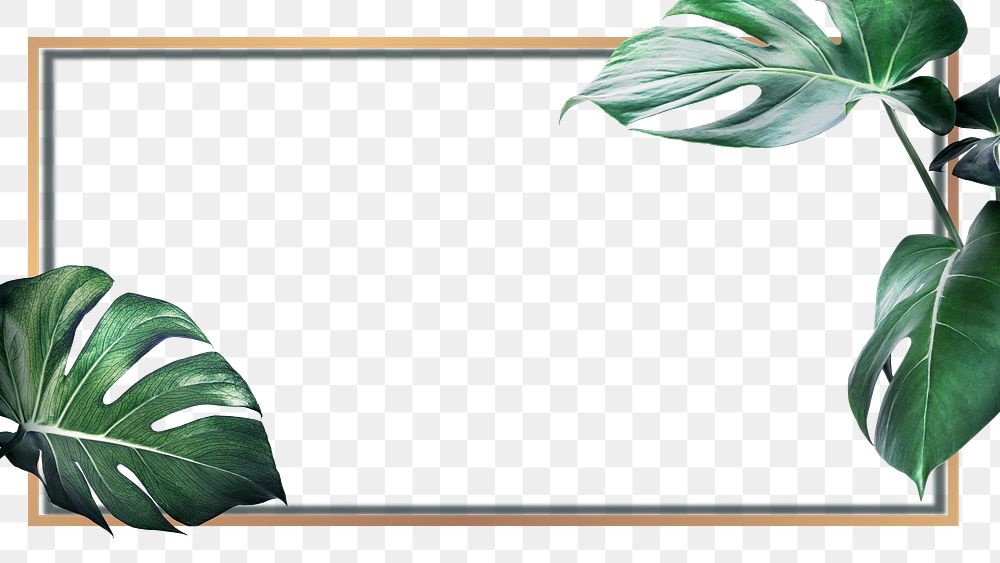 Rectangle golden monstera frame design | Premium PNG - rawpixel