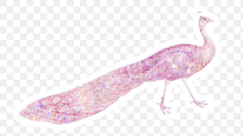 Pink holographic peacock sticker with a white | Free PNG Sticker - rawpixel