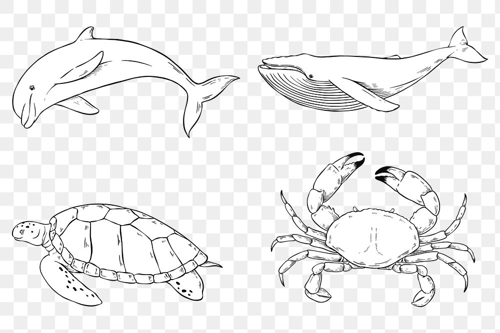 Png sea animal sticker set | Free PNG - rawpixel