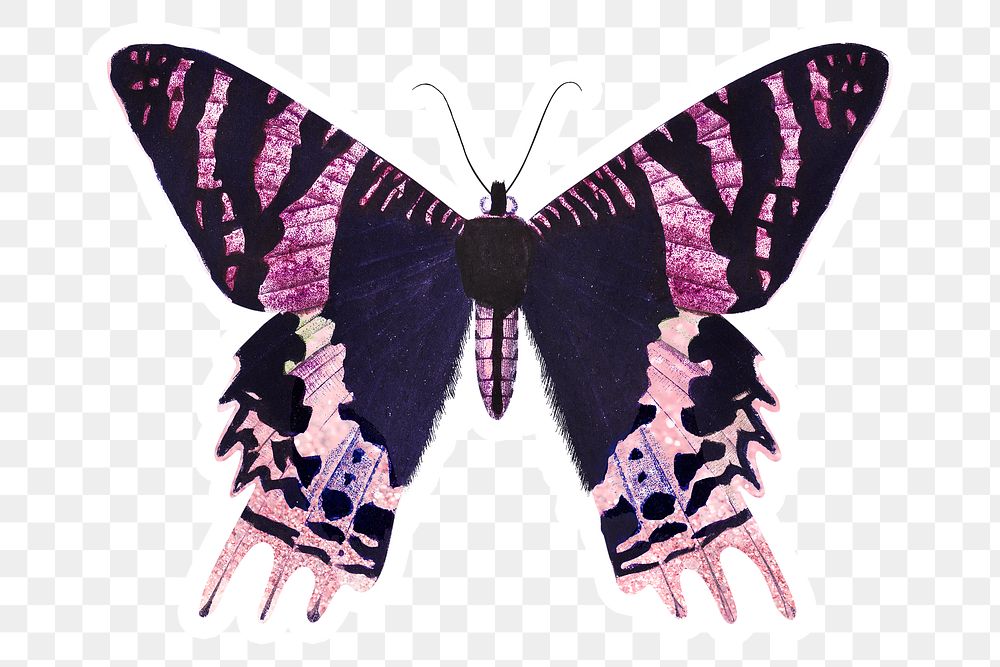 Pink moth with a white | Free PNG Sticker - rawpixel