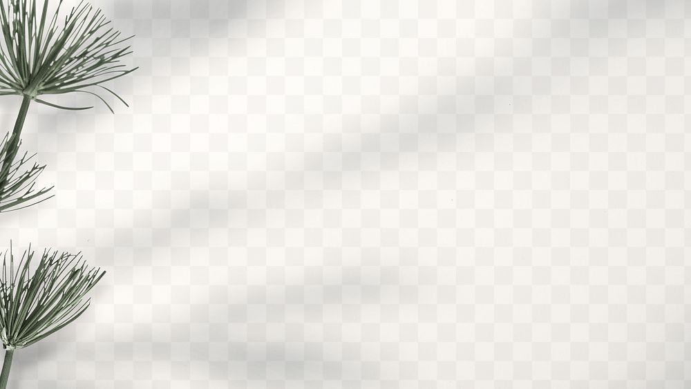 Plant Shadow PNG Images | Free PNG Vector Graphics, Effects ...