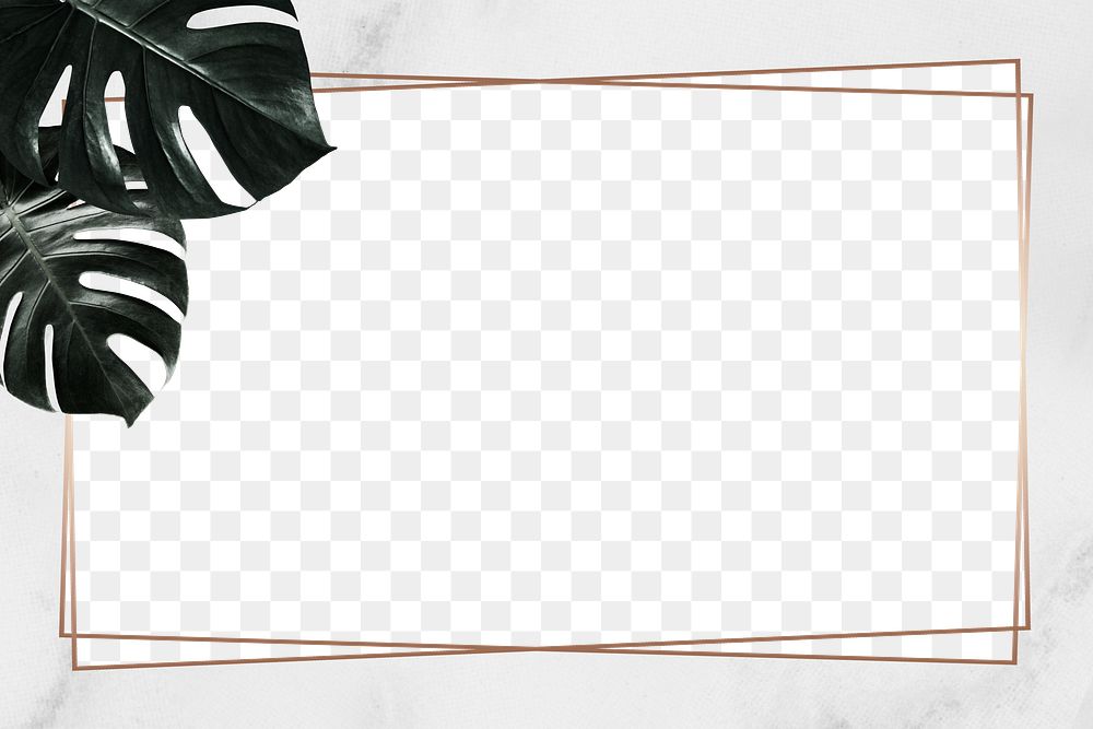 Gold monstera rectangle png frame | Premium PNG - rawpixel