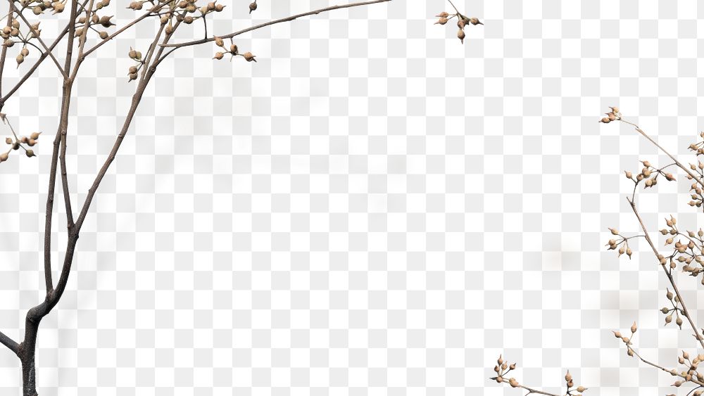 Png dry branch border transparent | Free PNG - rawpixel