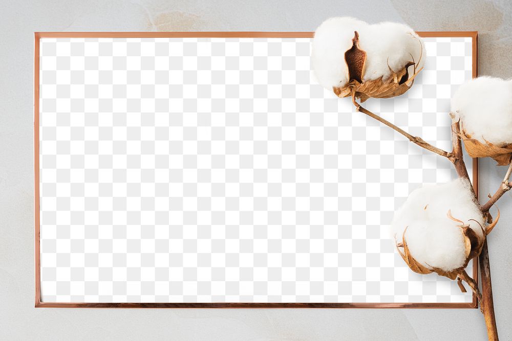 PNG cotton frame botanical design | Free PNG - rawpixel
