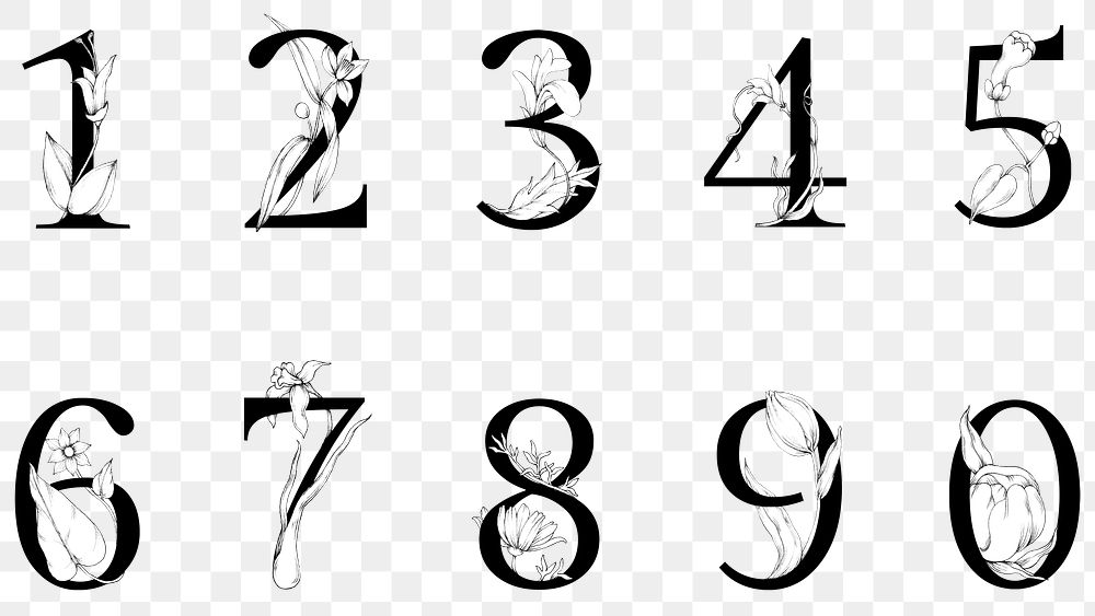 Png 123 number collection floral | Premium PNG - rawpixel