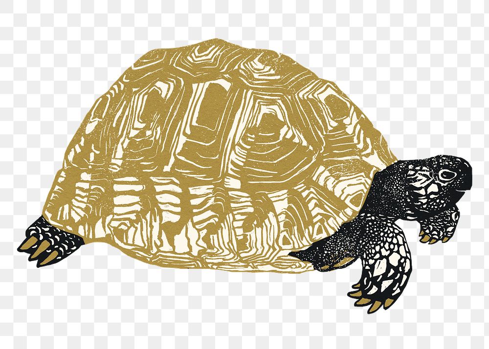 Gold turtle png sticker vintage | Free PNG Sticker - rawpixel