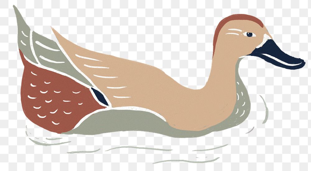 Duck png bird sticker vintage | Free PNG Sticker - rawpixel