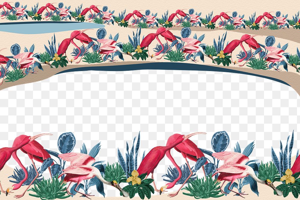 Tropical flamingo png border frame | Free PNG - rawpixel