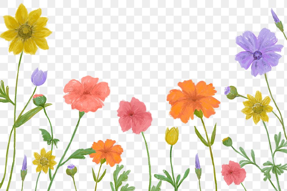 Png summer floral transparent background | Premium PNG - rawpixel