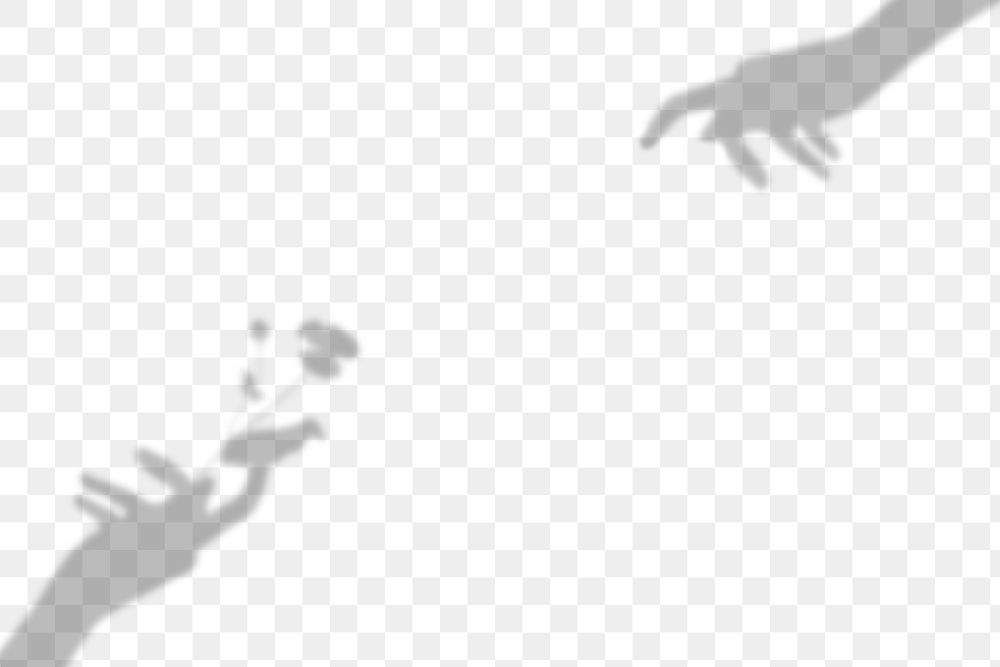 PNG flower in hand shadow | Premium PNG - rawpixel