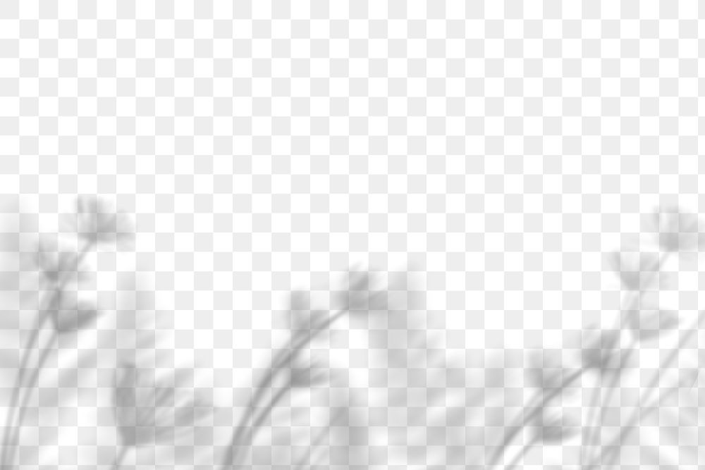 Png flower shadow background, botanical | Premium PNG - rawpixel