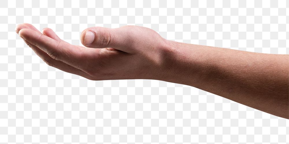 Empty hand on transparent png | Premium PNG Sticker - rawpixel