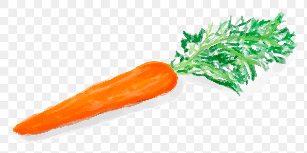 Colorful carrot vegetable png sticker | Free PNG Sticker - rawpixel