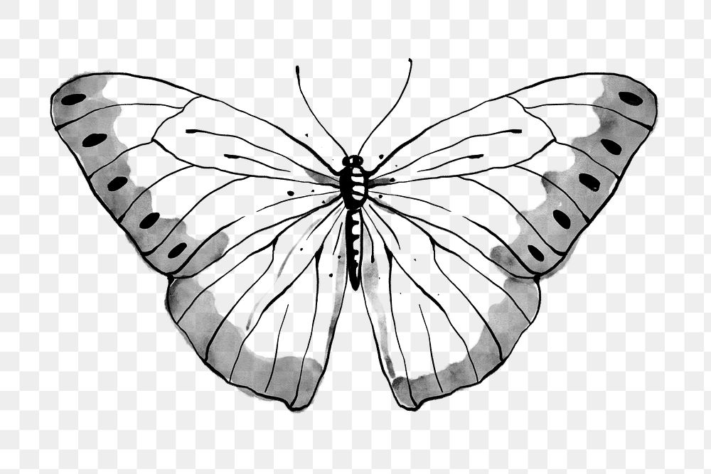 Ink butterfly png sticker, line | Premium PNG Sticker - rawpixel