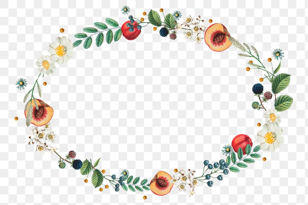 Vintage botanical frame png sticker | Free PNG - rawpixel