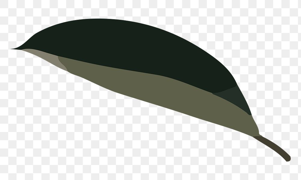 Leaf PNG clipart, rubber plant | Free PNG Sticker - rawpixel