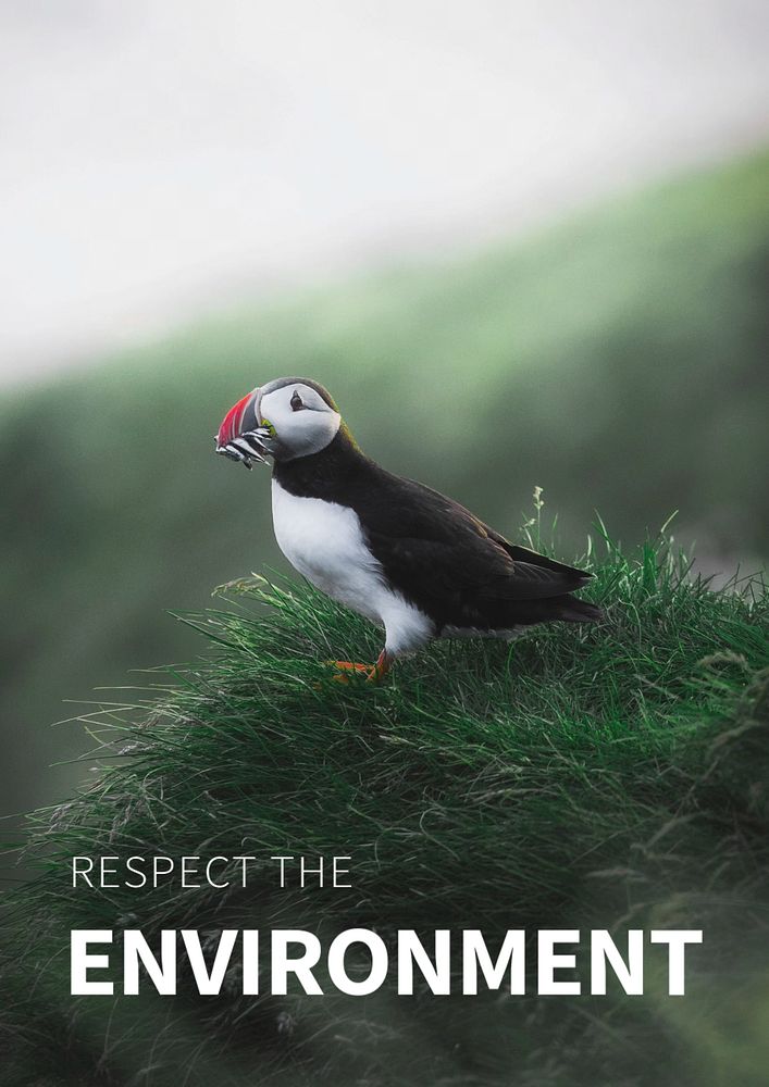 Respect environment template, poster puffin | Premium Editable Template ...