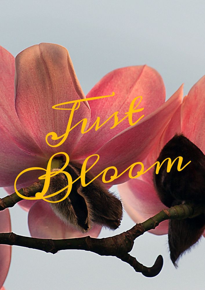 Bloom, positivity quote poster template, | Premium Editable Template ...