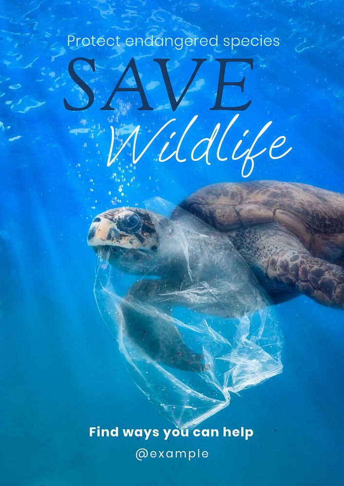 Save wildlife poster template, editable | Premium Editable Template ...