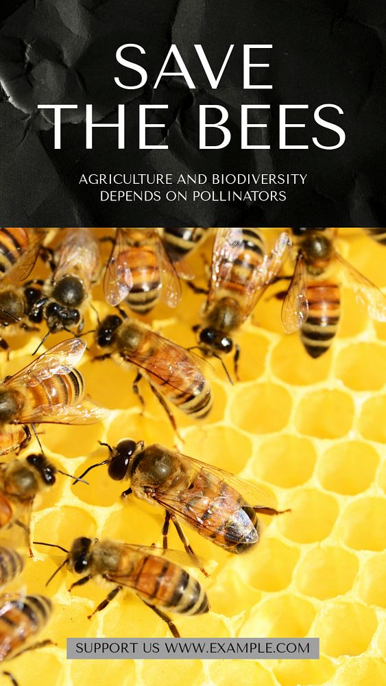 Save Bees Instagram story, editable | Premium Editable Template - rawpixel