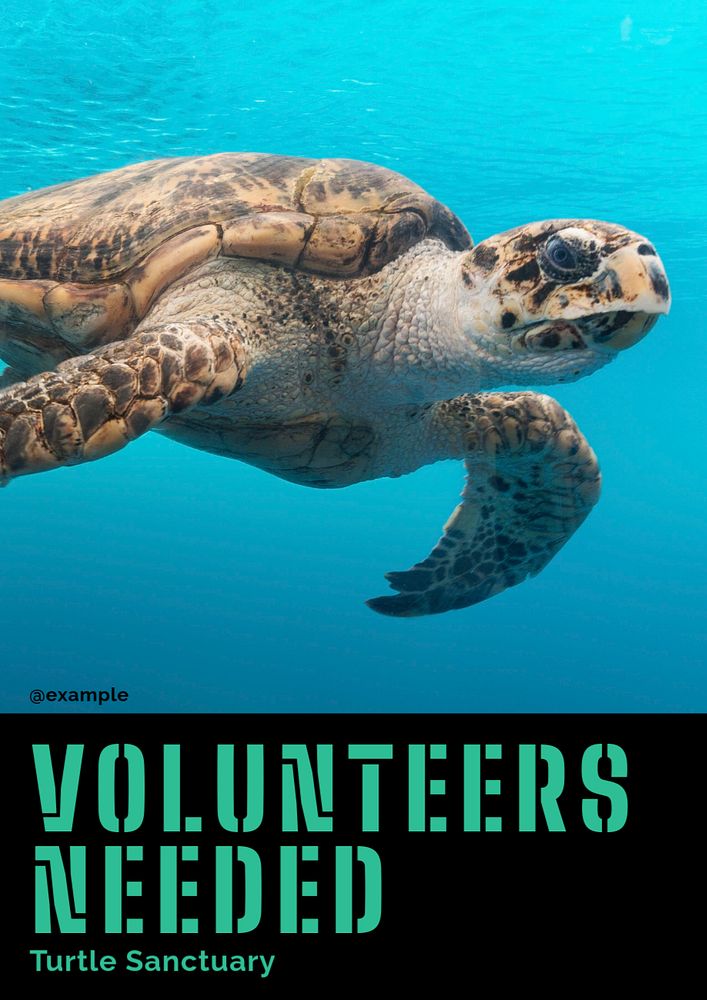 Turtle endangered ocean environment poster | Premium Editable Template ...