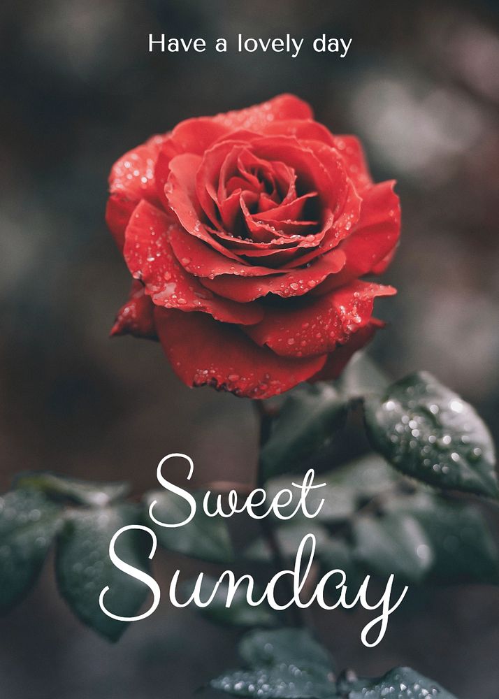 Sunday greeting card template | Premium Editable Template - rawpixel