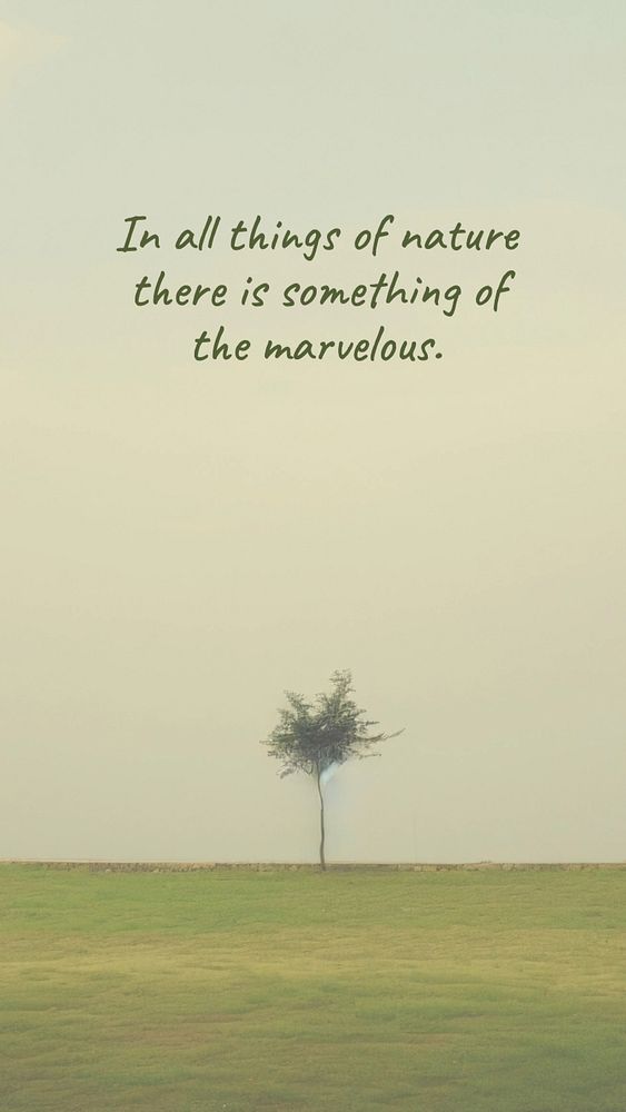 Things nature Instagram story template | Premium Editable Template ...