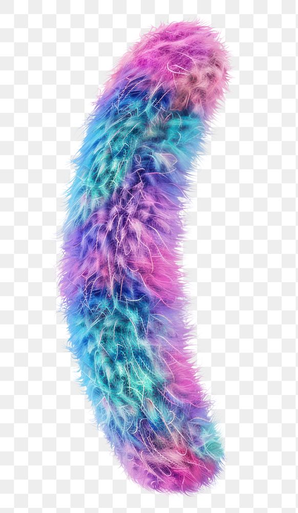 Parentheses png 3D, transparent background | Free PNG - rawpixel