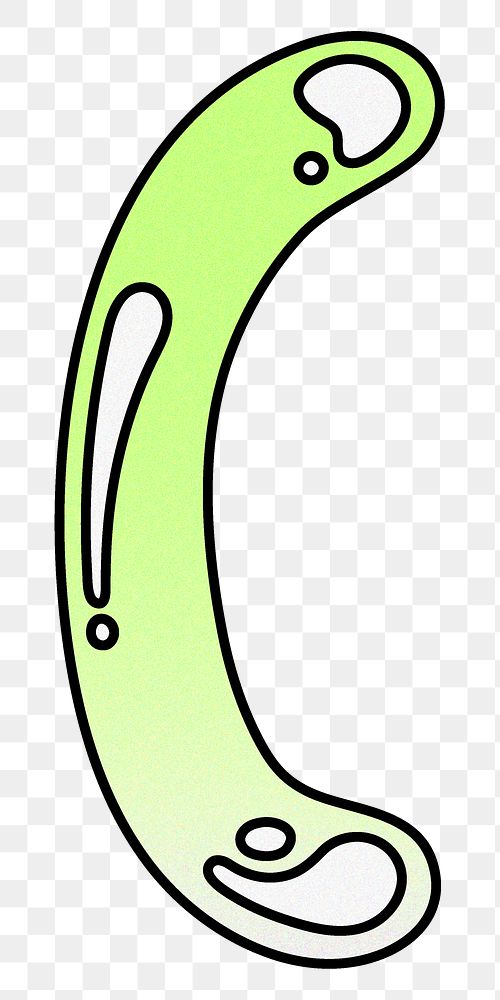 Parentheses sign png gradient green | Free PNG - rawpixel