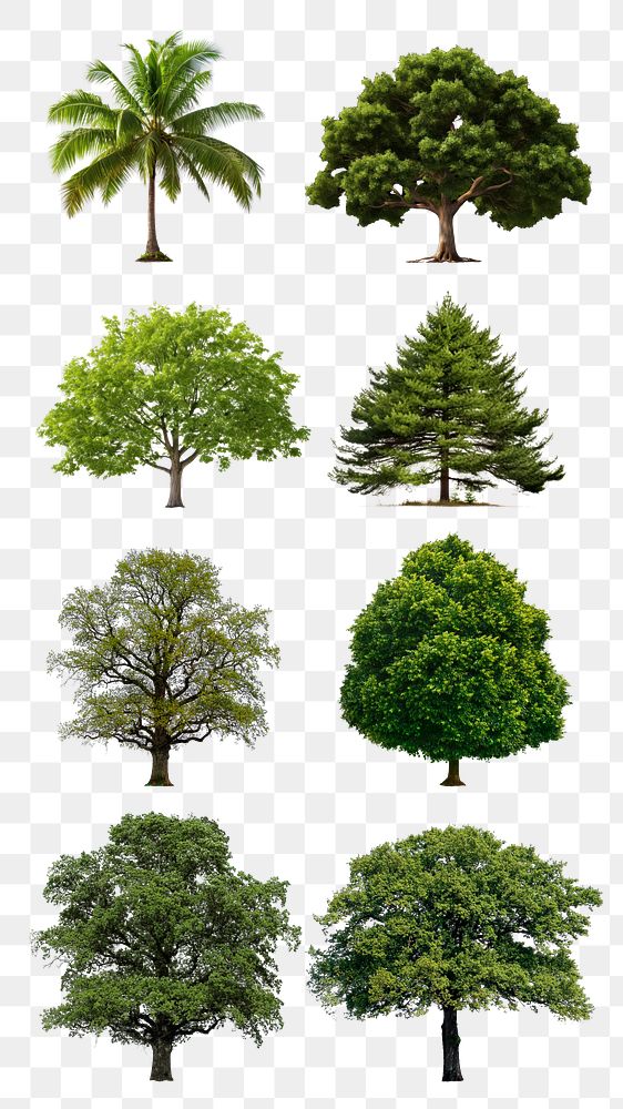 Green tree elements png cut | Premium PNG - rawpixel