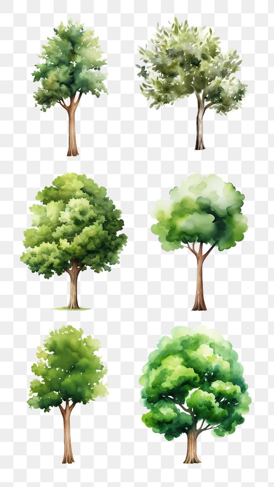 Drawing Tree PNG Big Images | Free Photos, PNG Stickers, Wallpapers ...