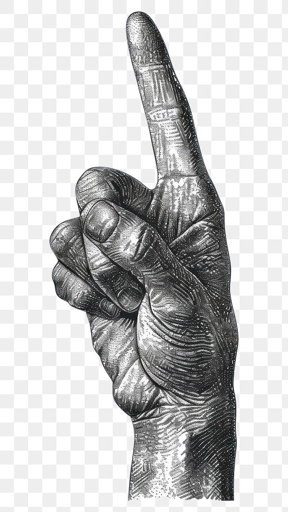 PNG Detailed hand pointing illustration | Premium PNG - rawpixel