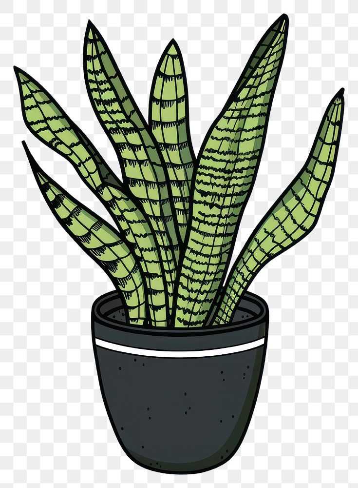 PNG Snake plant cartoon | Free PNG - rawpixel