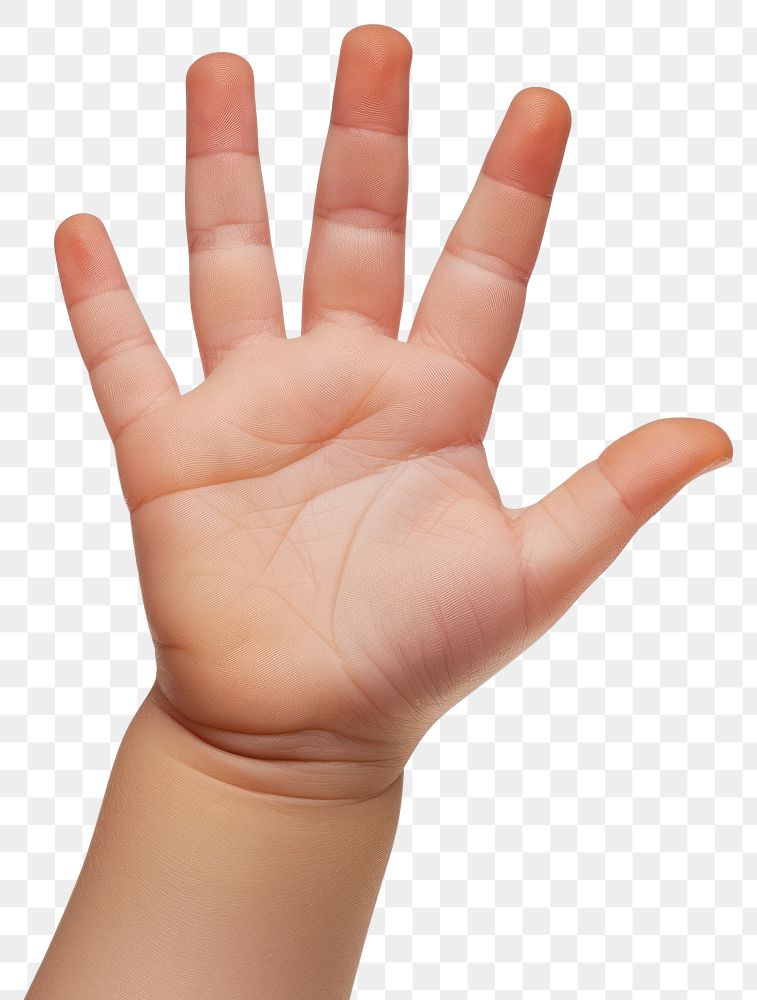 PNG Child's hand showing five | Free PNG - rawpixel