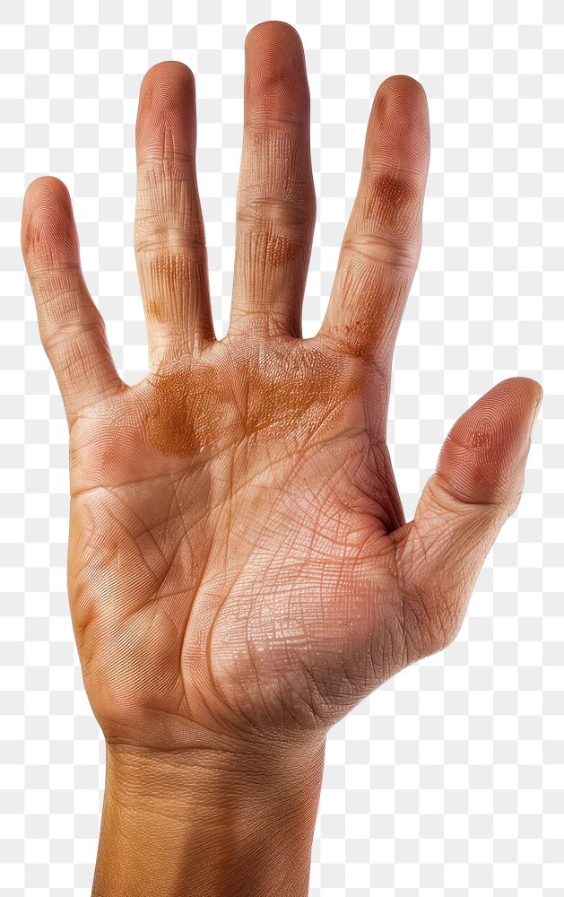 PNG Human hand palm closeup | Free PNG - rawpixel