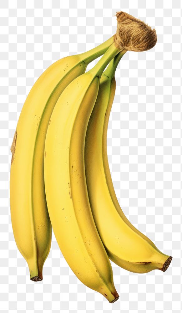 Fruits Images PNG Images | Free Photos, PNG Stickers, Wallpapers ...