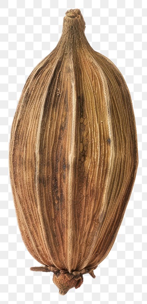 PNG Cardamom cardamom spice food. | Free PNG - rawpixel
