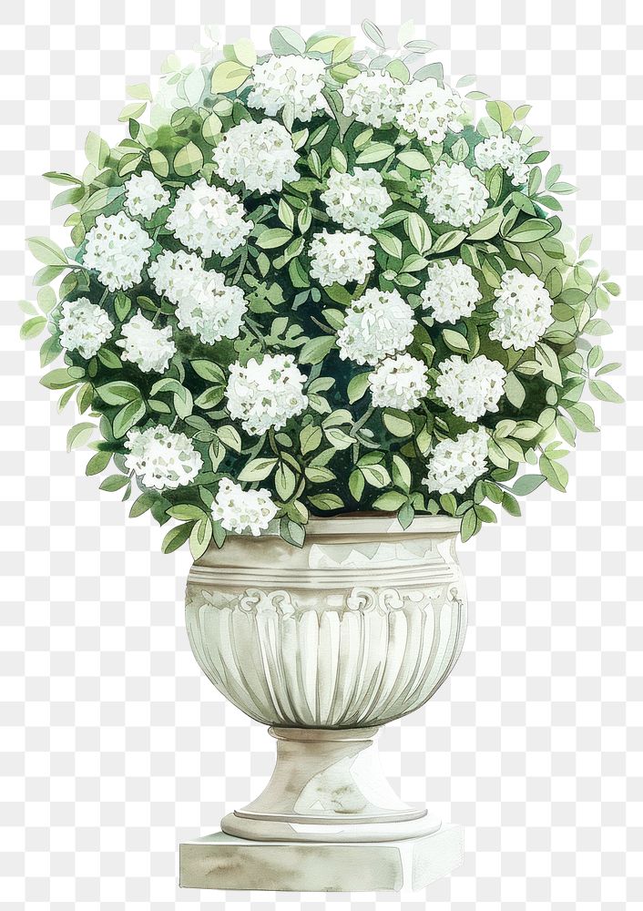 Ornamental Pot Images | Free Photos, PNG Stickers, Wallpapers ...