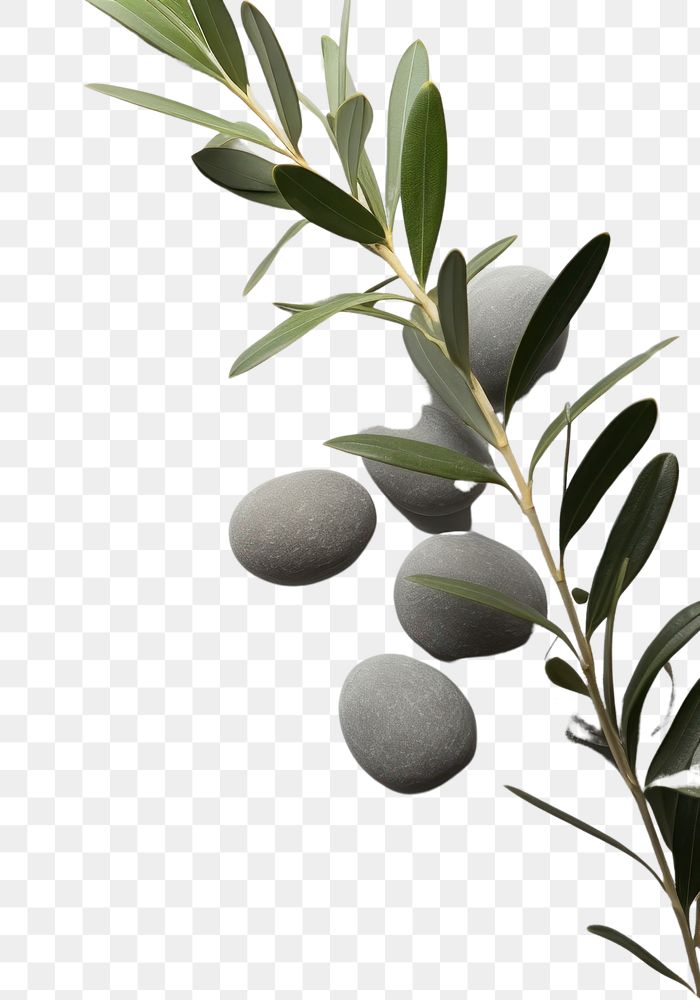Minimalist zen background pebble medication | Free PNG - rawpixel