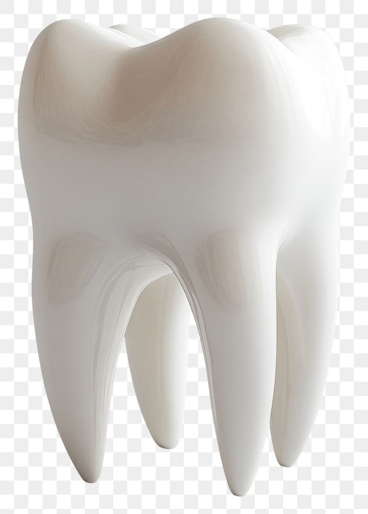 PNG One teeth realistic tooth | Free PNG - rawpixel