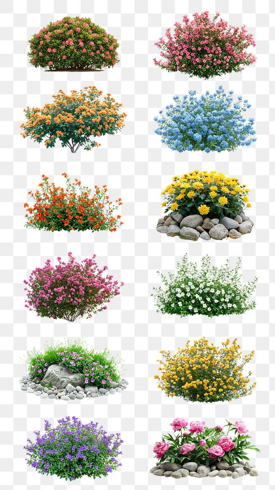 PNG flower bush element set, | Premium PNG - rawpixel