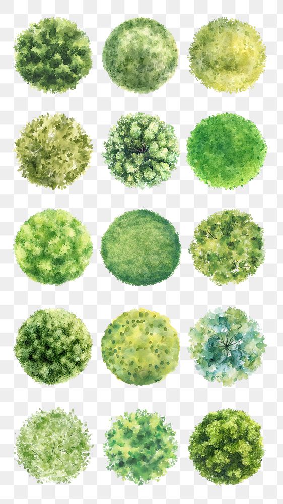 PNG tree top view element | Free PNG - rawpixel