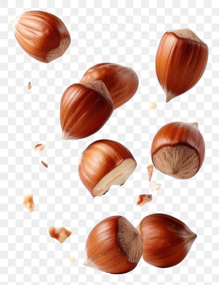 PNG Falling hazelnuts plant food | Premium PNG - rawpixel
