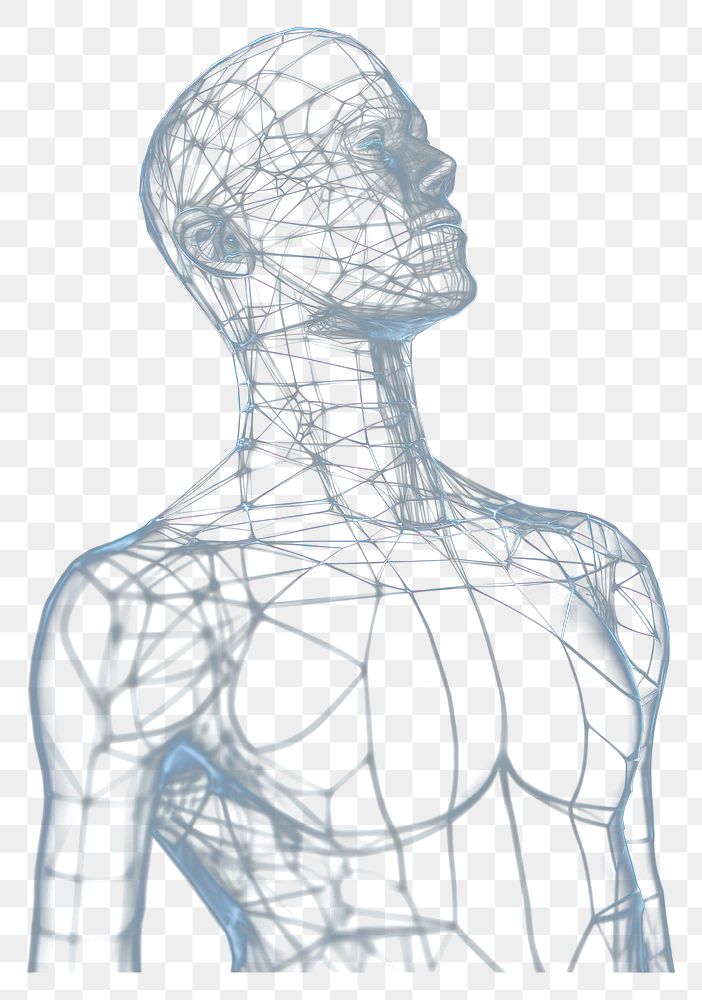PNG Human body wireframe design | Premium PNG - rawpixel