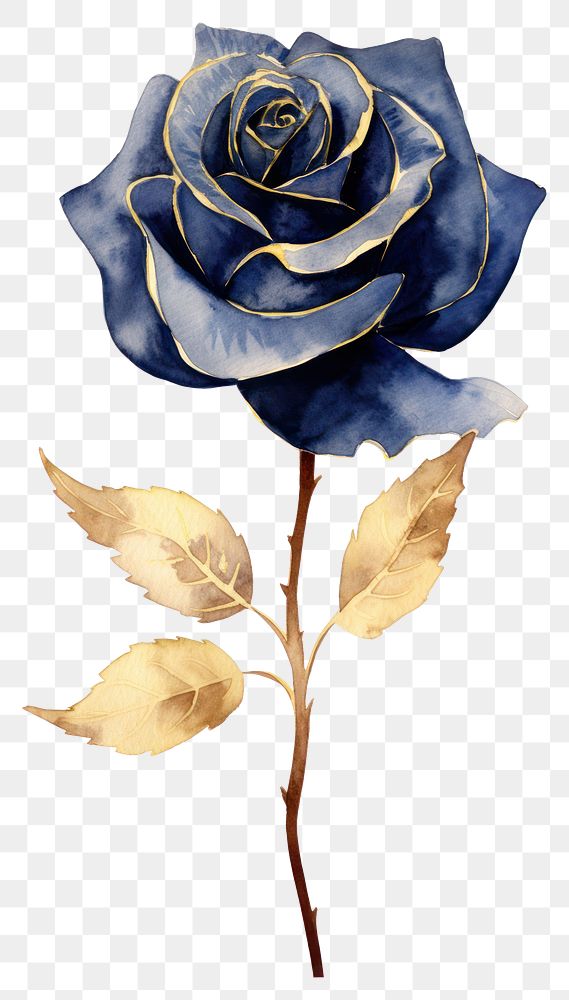 PNG Indigo rose flower plant | Free PNG - rawpixel