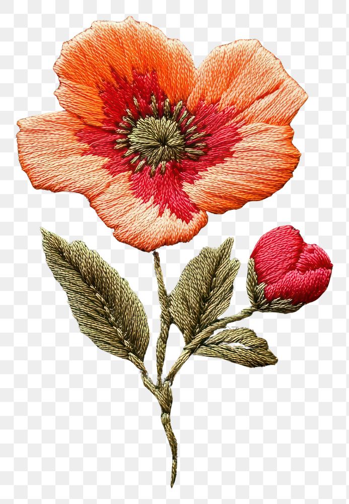 PNG Autumn poppy flower bunch | Free PNG - rawpixel