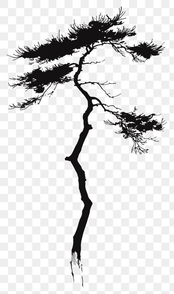 PNG Pine tree simple black | Free PNG - rawpixel